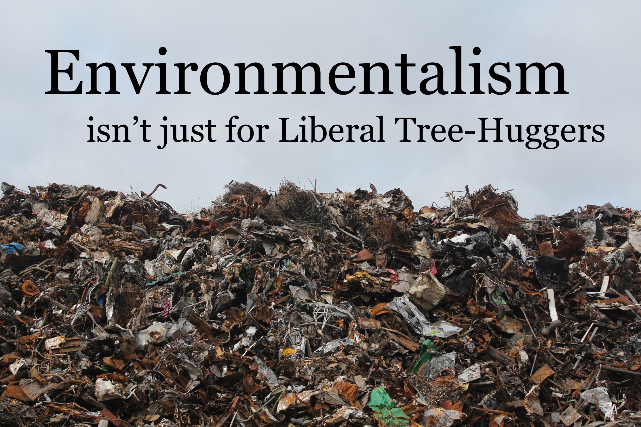 Environmentalism isn’t just for Liberal Tree-Huggers – No Makeup Mama